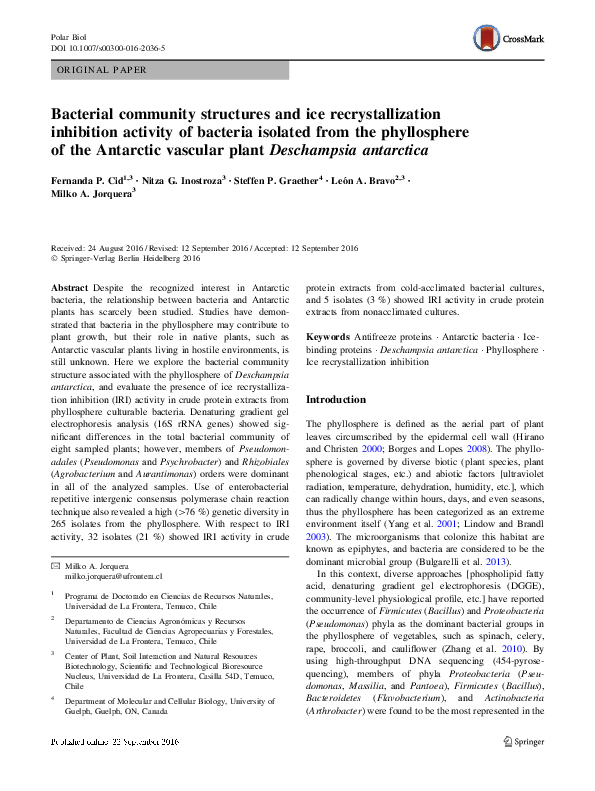 (PDF) Bacterial community structures and ice recrystallization inhibition activity of bacteria ...