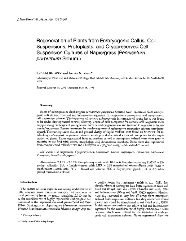 (PDF) Regeneration of Plants from Embryogenic Callus, Cell Suspensions ...