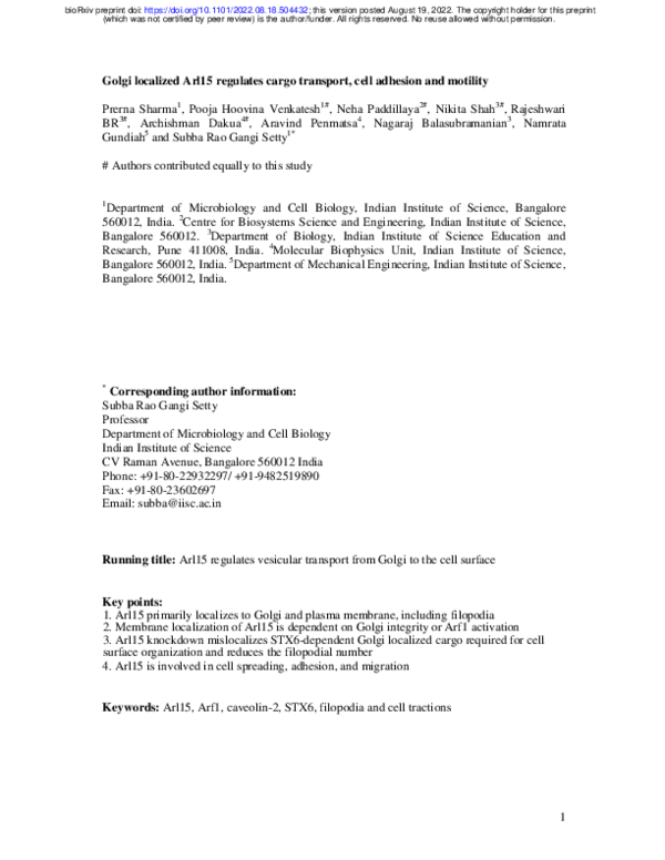 (PDF) Golgi localized Arl15 regulates cargo transport, cell adhesion ...