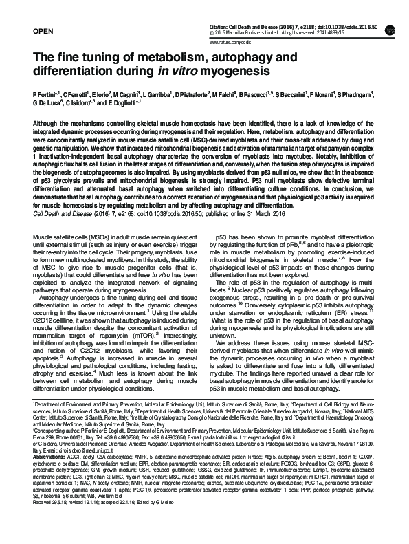 (PDF) The fine tuning of metabolism, autophagy and differentiation ...