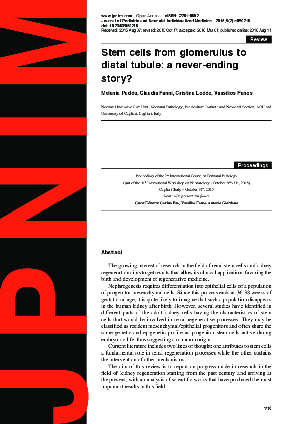 (PDF) Stem cells from glomerulus to distal tubule: a never-ending story?