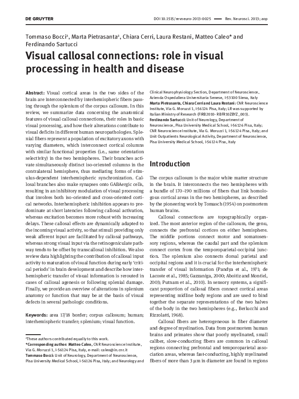 (PDF) Visual callosal connections: role in visual processing in health ...