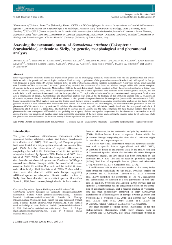 (PDF) Assessing the taxonomic status of Osmoderma cristinae (Coleoptera ...