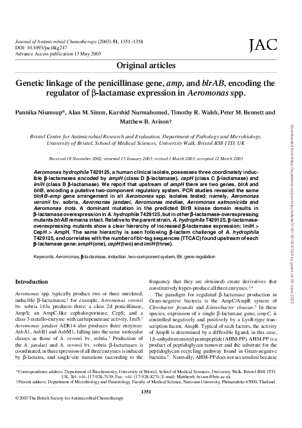(PDF) Genetic linkage of the penicillinase gene, amp, and blrAB, encoding the regulator of beta ...