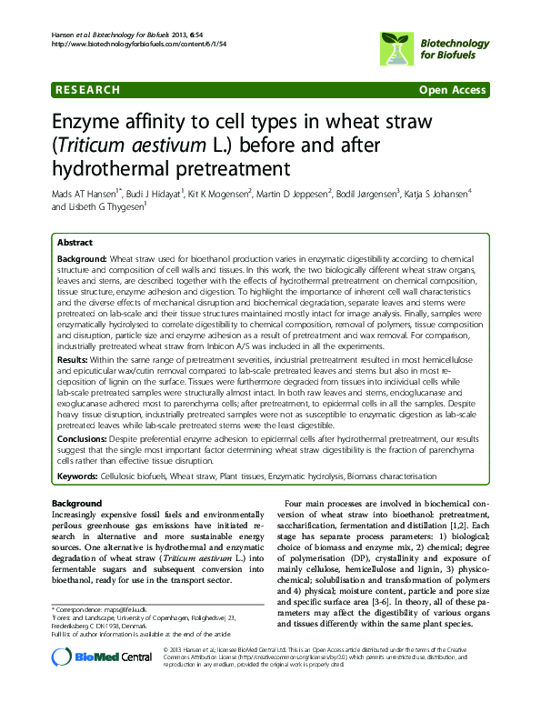 (PDF) Enzyme affinity to cell types in wheat straw (Triticum aestivum L ...
