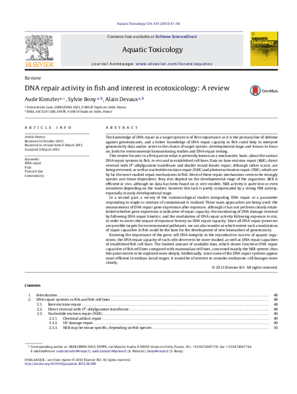 (PDF) DNA repair activity in fish and interest in ecotoxicology: A review