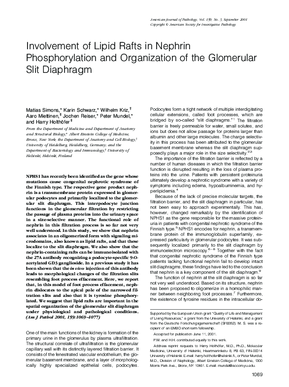 (PDF) Involvement of Lipid Rafts in Nephrin Phosphorylation and ...