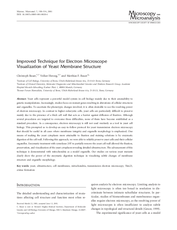 (PDF) Improved Technique for Electron Microscope Visualization of Yeast ...
