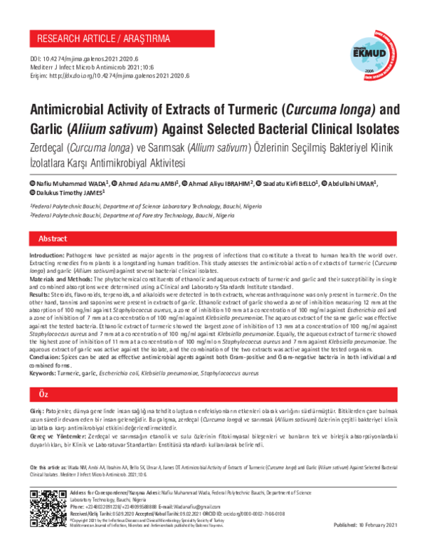 (PDF) Antimicrobial Activity of Extracts of Turmeric (Curcuma longa) and Garlic (Aliium sativum ...