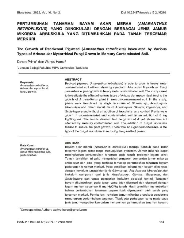 (PDF) Pertumbuhan Tanaman Bayam Akar Merah (Amaranthus Retroflexus ...