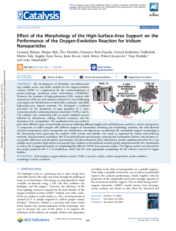 (PDF) Effect of the Morphology of the High-Surface-Area Support on the ...