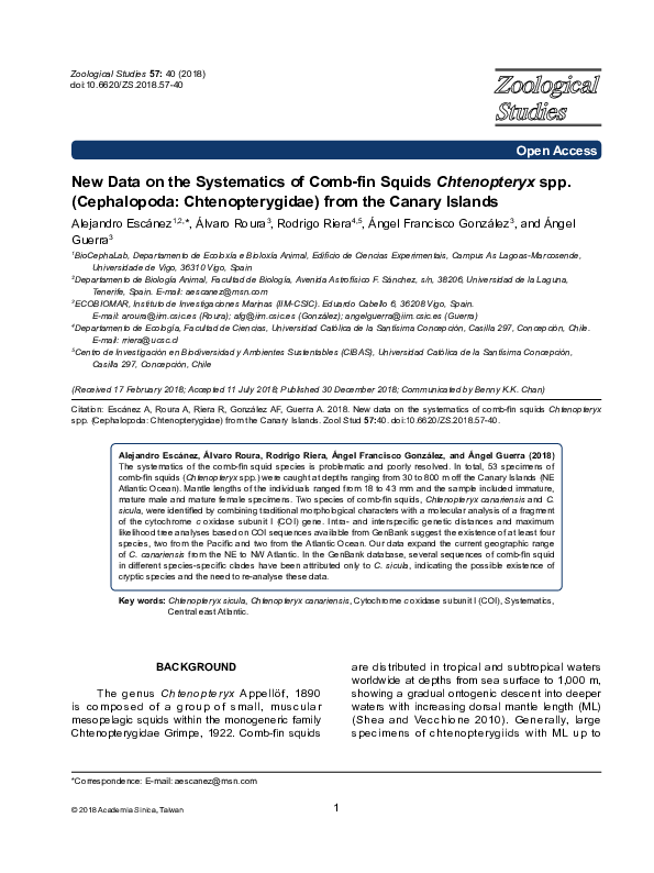 (PDF) New Data on the Systematics of Comb-fin Squids Chtenopteryx spp. (Cephalopoda ...