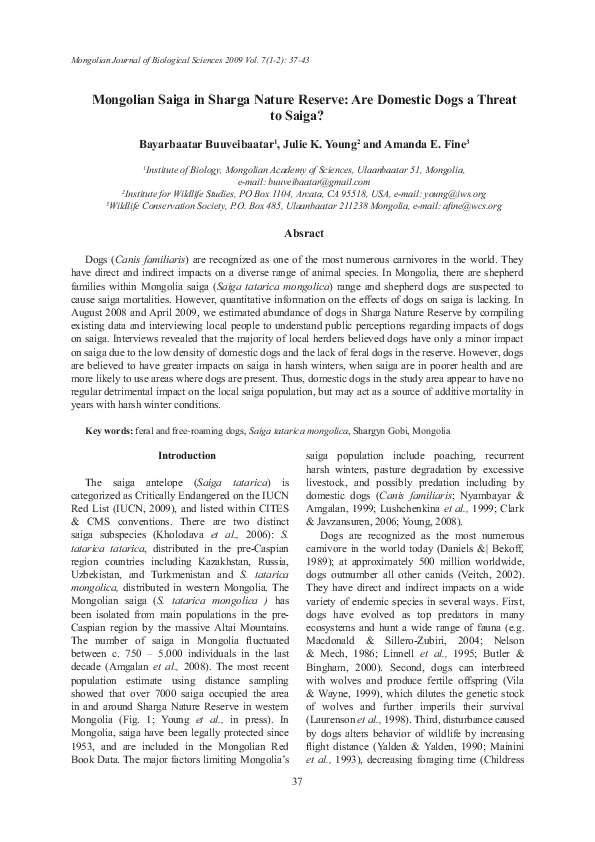 (PDF) Mongolian Saiga in Sharga Nature Reserve: Are Domestic Dogs a ...