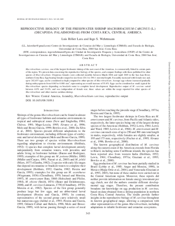 (PDF) Reproductive Biology of the Freshwater Shrimp Macrobrachium ...
