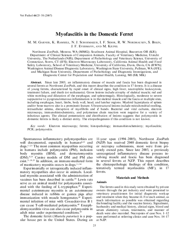 (PDF) Myofasciitis in the Domestic Ferret
