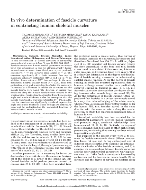 (PDF) In vivo determination of fascicle curvature in contracting human ...