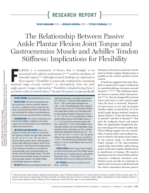 (PDF) Ankle Torque and Muscle Stiffness in Flexibility