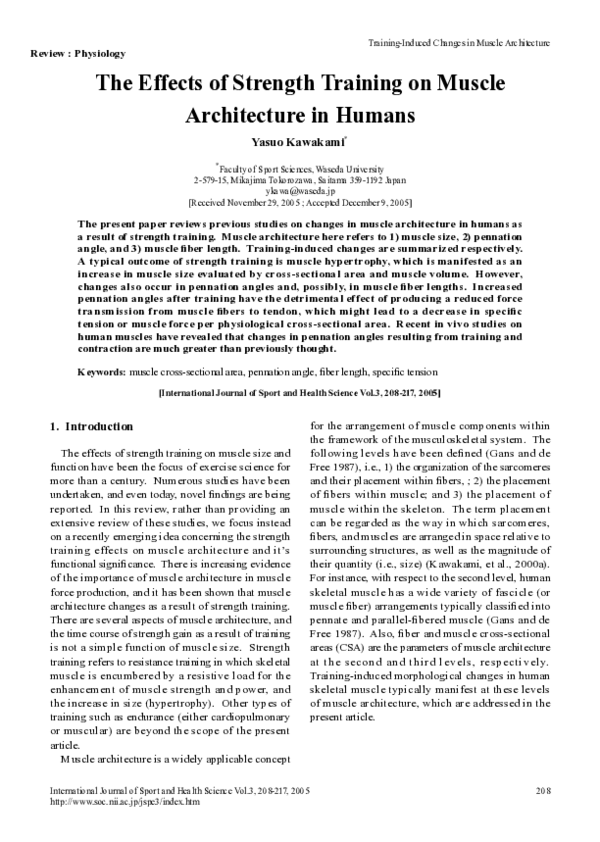 (PDF) The Effects of Strength Training on Muscle Architecture in Humans