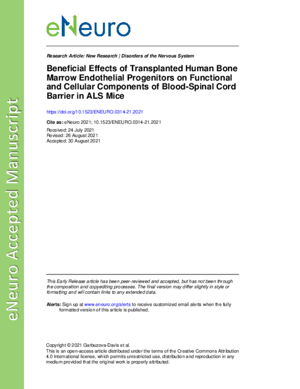 (PDF) Beneficial Effects of Transplanted Human Bone Marrow Endothelial ...