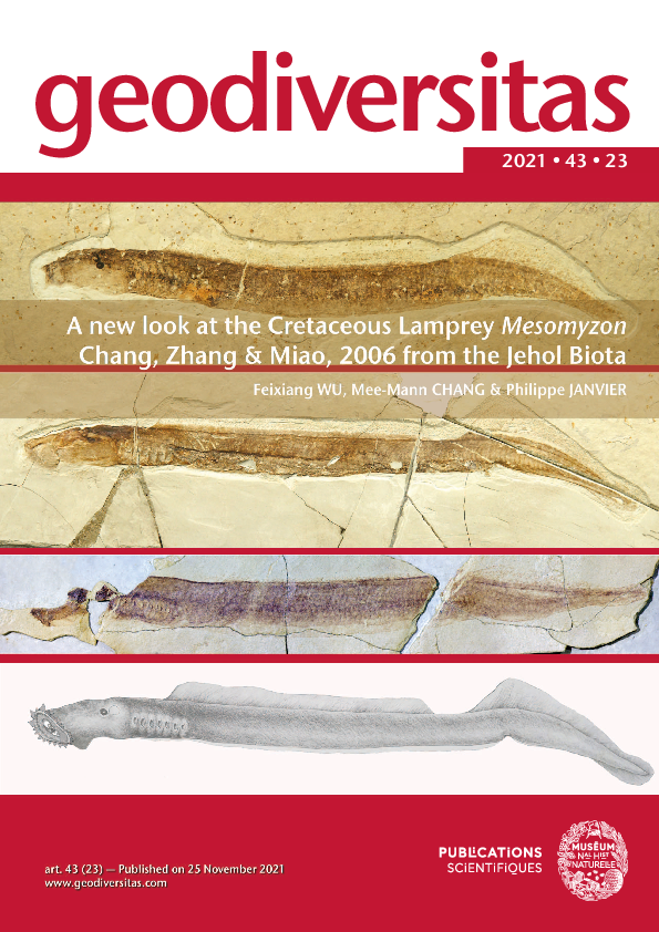 (PDF) A new look at the Cretaceous Lamprey Mesomyzon Chang, Zhang ...