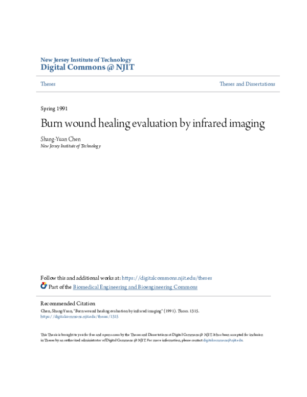 (PDF) Burn wound healing evaluation by infrared imaging