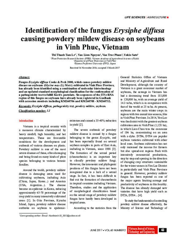 (PDF) Identification of the fungus Erysiphe diffusa causing powdery ...