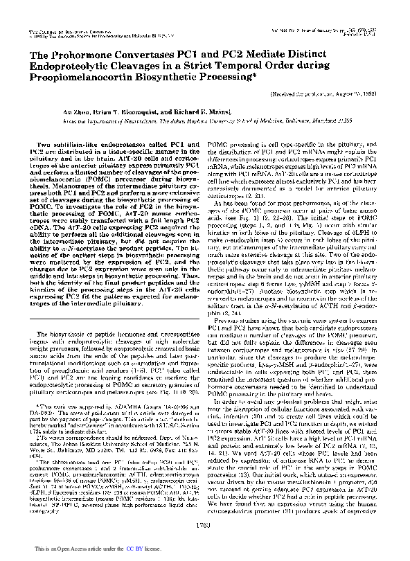 (PDF) The prohormone convertases PC1 and PC2 mediate distinct ...