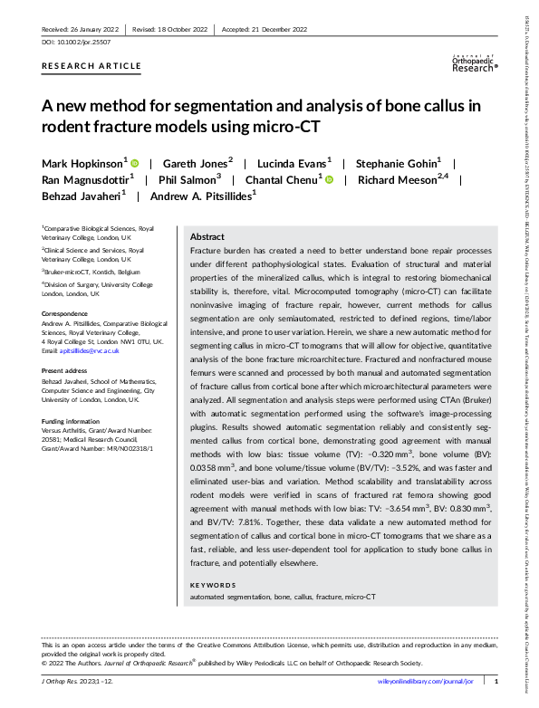 (PDF) A new method for segmentation and analysis of bone callus in rodent fracture models using ...