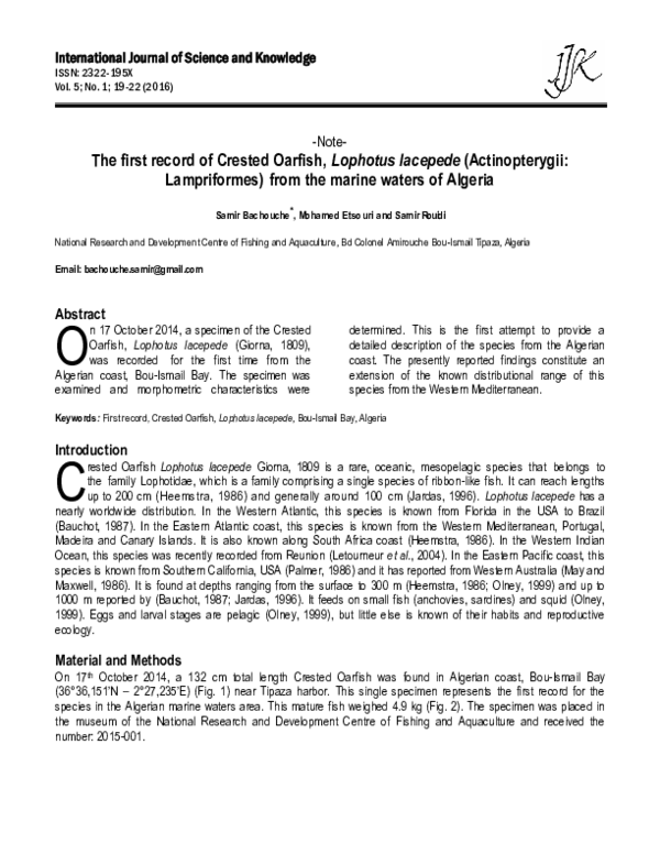 (PDF) The first record of Crested Oarfish, Lophotus lacepede ...