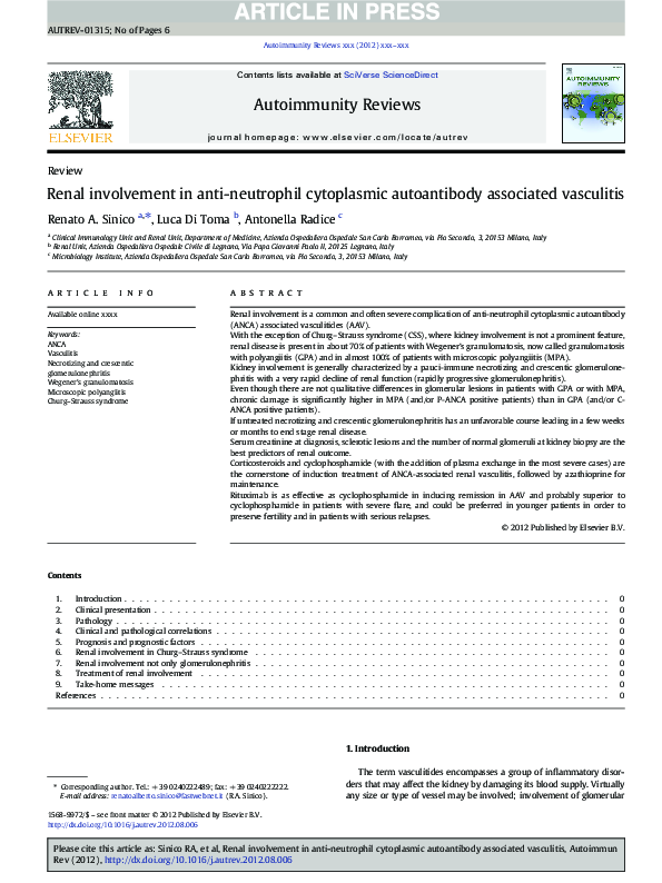 (PDF) Renal involvement in anti-neutrophil cytoplasmic autoantibody ...