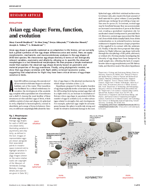 (PDF) EVOLUTION Avian egg shape : Form , function , and evolution | Ee ...