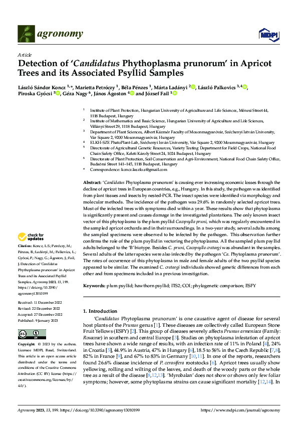 (PDF) Detection of ‘Candidatus Phythoplasma prunorum’ in Apricot Trees ...