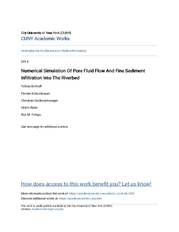(PDF) Numerical Simulation of Pore Fluid Flow and Fine Sediment ...