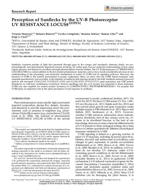 (PDF) Perception of Sunflecks by the UV-B Photoreceptor UV RESISTANCE ...