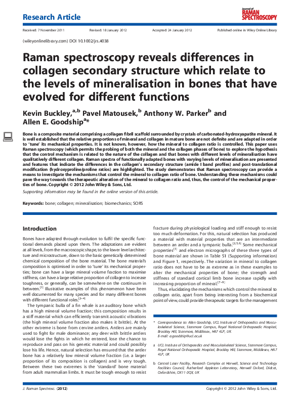 (PDF) Raman spectroscopy reveals differences in collagen secondary ...