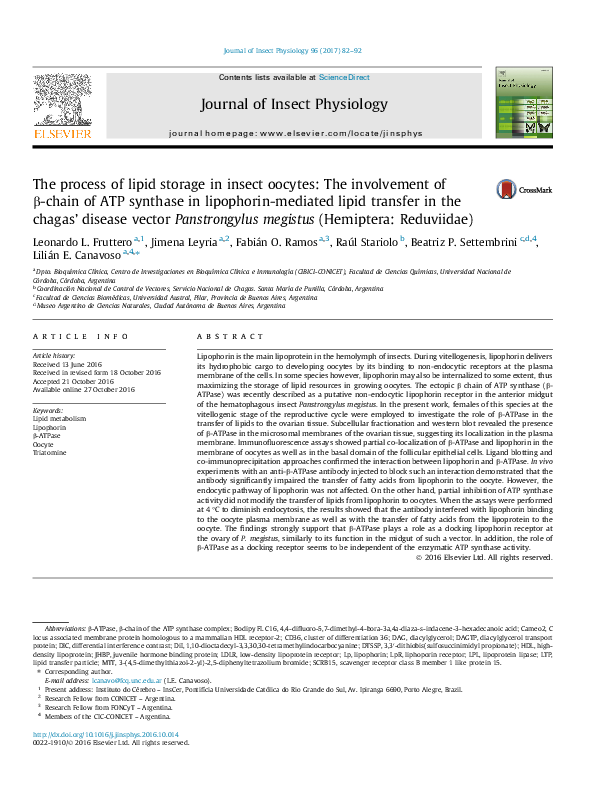 (PDF) The process of lipid storage in insect oocytes: The involvement ...