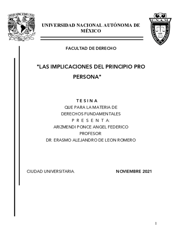 (PDF) Las Implicaciones del principio Pro Persona