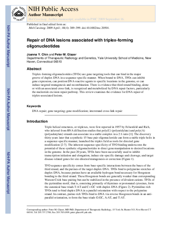 (PDF) Repair of DNA lesions associated with triplex-forming oligonucleotides