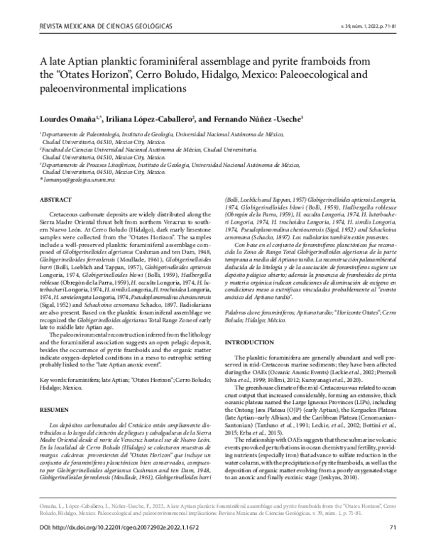 (PDF) Aptian planktic foraminiferal assemblage and pyrite framboids ...
