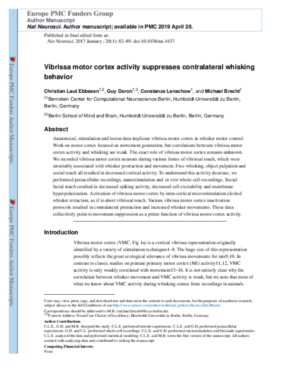 (PDF) Vibrissa motor cortex activity suppresses contralateral whisking ...