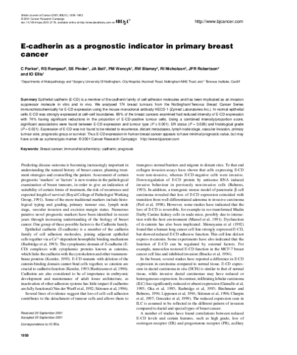 (PDF) E-cadherin as a prognostic indicator in primary breast cancer