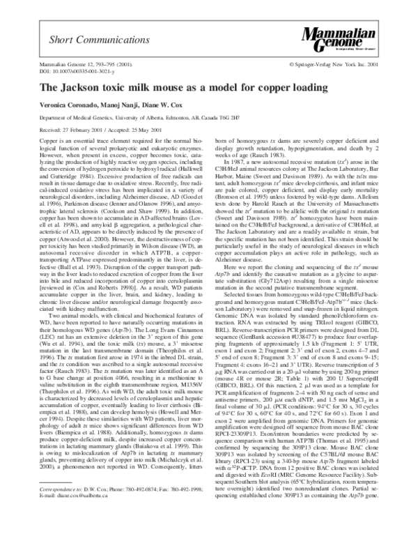 (PDF) The Jackson toxic milk mouse as a model for copper loading