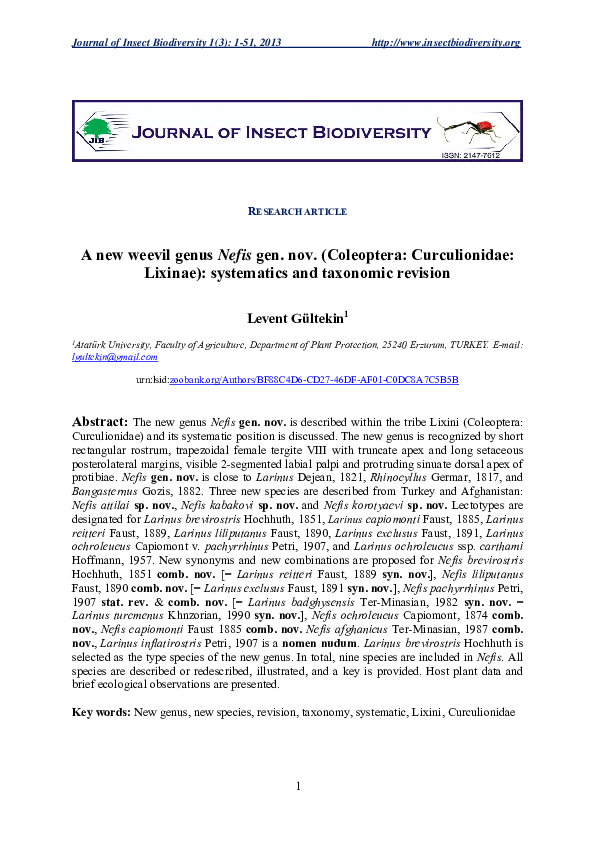 (PDF) A new weevil genus Nefis gen. nov. (Coleoptera: Curculionidae ...