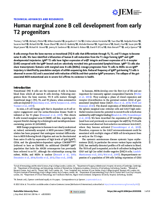 (PDF) Human marginal zone B cell development from early T2 progenitors ...