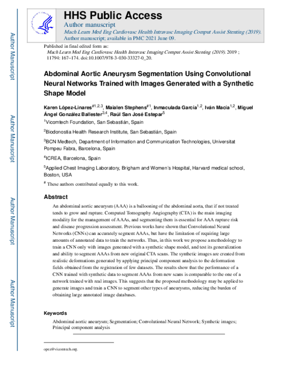 Pdf Abdominal Aortic Aneurysm Segmentation Using Convolutional Neural Networks Trained With