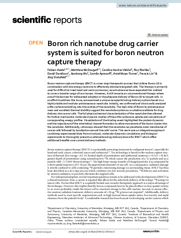 (PDF) Boron rich nanotube drug carrier system is suited for boron ...