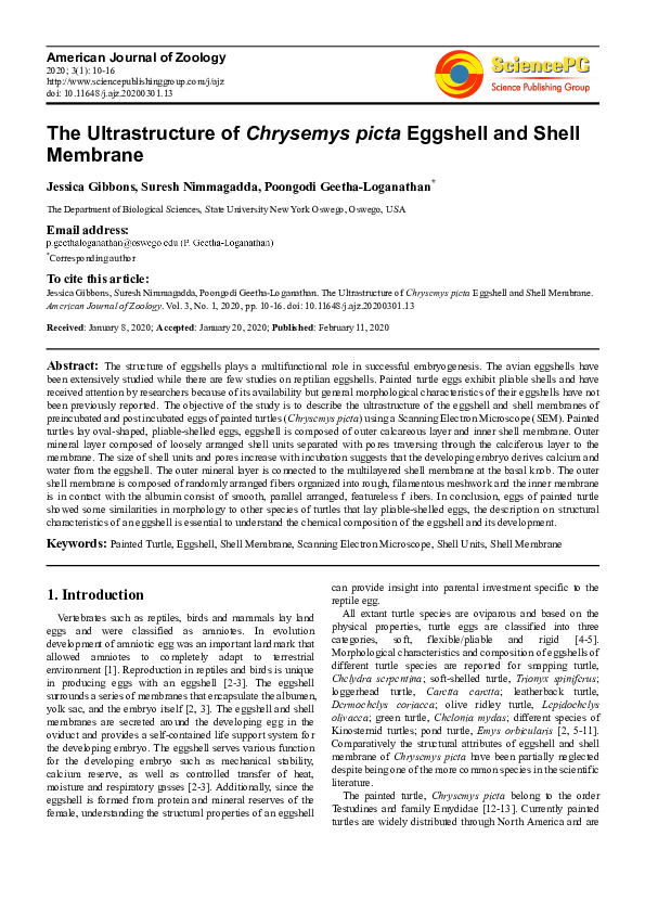 (PDF) The Ultrastructure of Chrysemys picta Eggshell and Shell Membrane