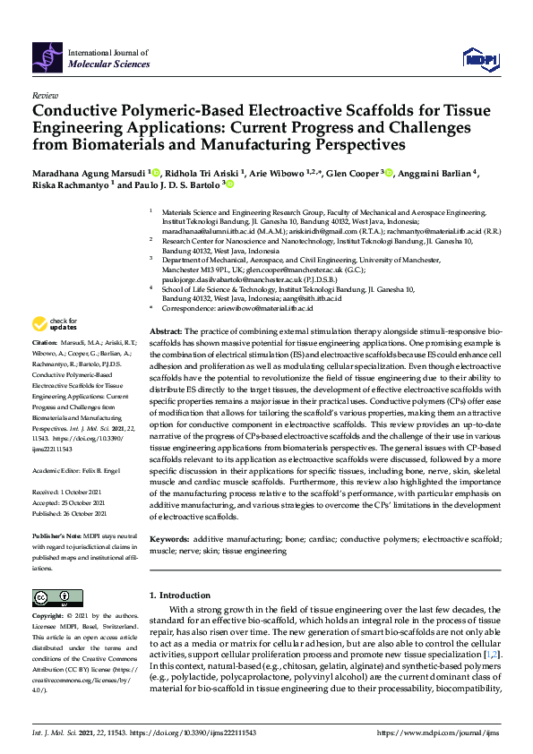 (PDF) Conductive Polymeric-Based Electroactive Scaffolds for Tissue ...