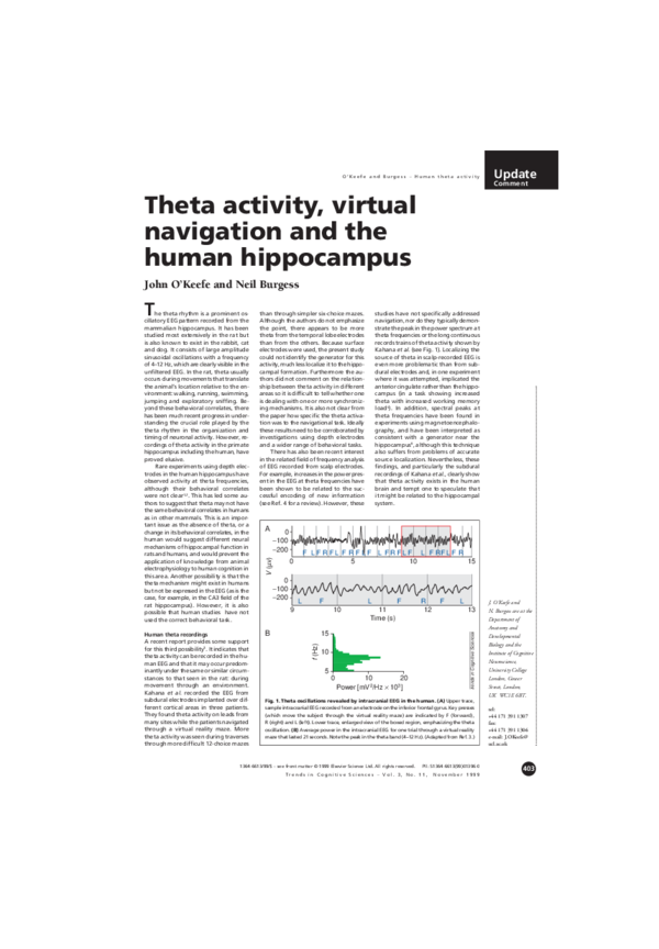 (PDF) Theta activity, virtual navigation and the human hippocampus