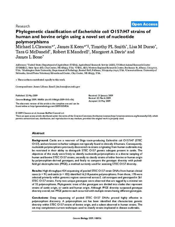 (PDF) Phylogenetic classification of Escherichia coli O157:H7 strains ...